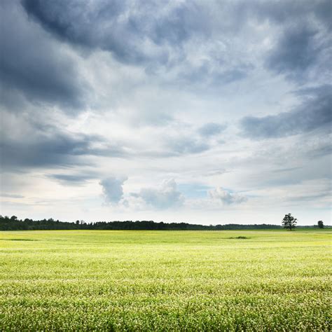 Torbon Songs List Genres Analysis And Similar Artists Chosic