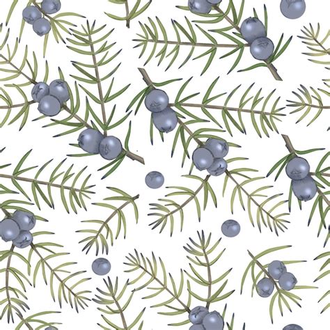 Premium Photo Seamless Pattern With Juniper Berry And Branch On White