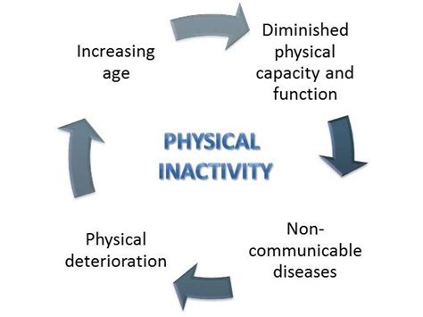 Use Of Accelerometers For Physical Activity Monitoring In Patients With