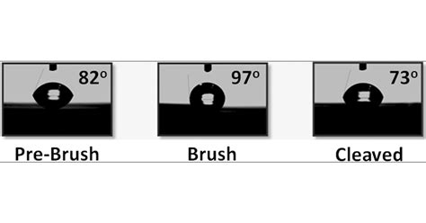 Stimuli Responsive Surfaces Utilizing Cleavable Polymer Brush Layers Macromolecules