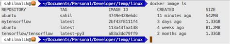 Setting Up A Developer Environment Using Docker