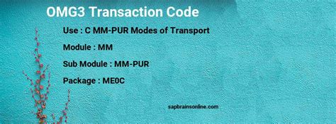 OMG SAP Tcode For C MM PUR Modes Of Transport