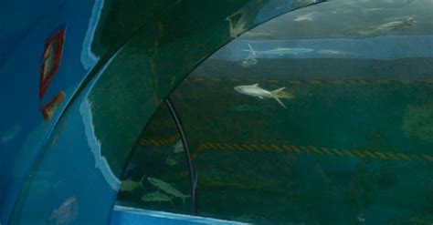 실내 Vattenmiljöallmänhet 가족 친화적 인 건축 고요한 관광 교육적인 구부러진 유리 대양 같은