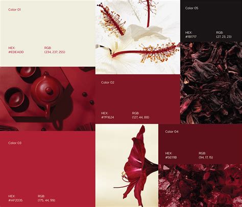Ruby Tea Behance