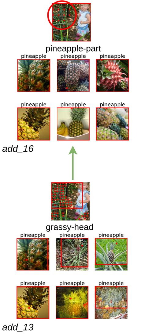 sub graph inference for resnet50 left the pineapple image wrongly