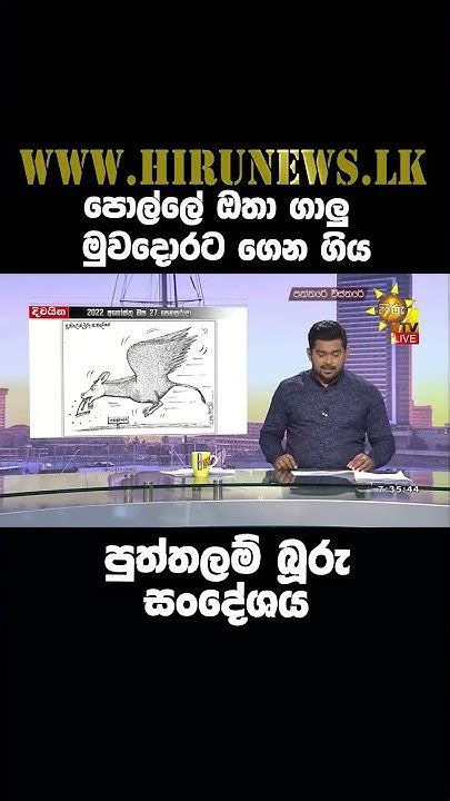 පොල්ලේ ඔතා ගාලු මුවදොරට ගෙන ගිය පුත්තලම් බූරු සංදේශය Hiru News Youtube