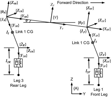 Compliant Legged Quadruped Robot In Sagittal Plane Presentation Download Scientific Diagram