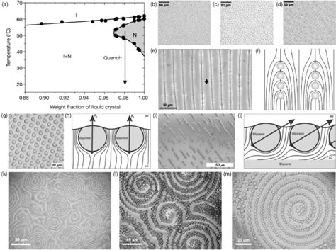 Nematic Colloids Obtained Through Phase Separation A Phase Diagram