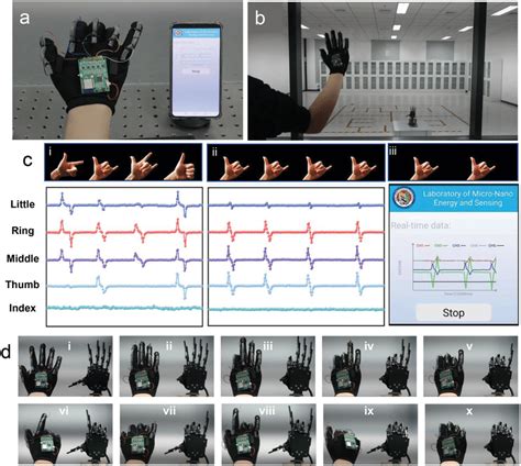 Real‐time Interactive Gesture Demonstration A Photograph Of