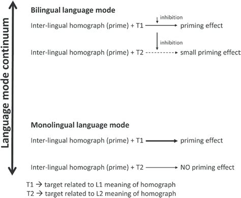 schematic representation of semantic priming in bilinguals in different