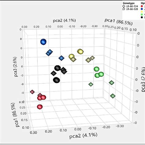 Three Dimensional Principal Component Analysis Plot Representing The