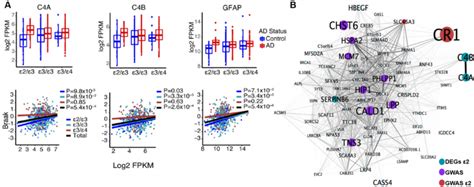 Integrative Brain Transcriptome Analysis Links Complement Component 4