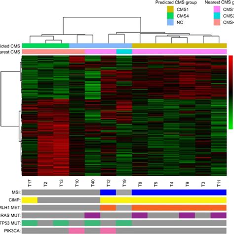 heatmap and 2 way hierarchical clustering kendal distance ward d