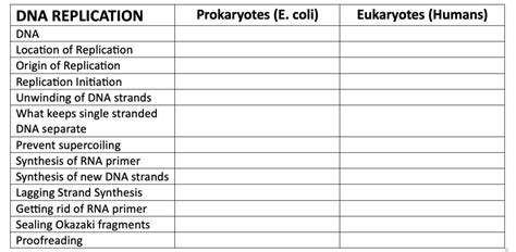 Dna Replication Prokaryotes Vs Eukaryotes Diagram Quizlet