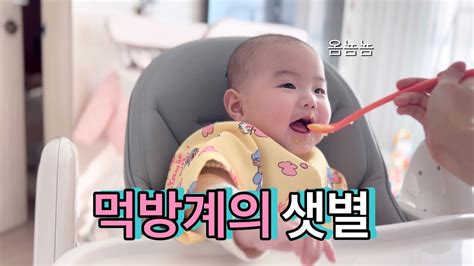 Vlog 초기 이유식 시작한 먹성 좋은 아기 소소한 6개월 일상 Youtube