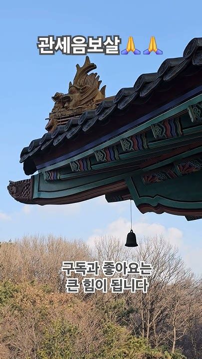 관세음보살 소원 성취 기도 소원성취기도 부처님 명상 🙏🙏🙏🙏🙏🙏🙏🙏🙏🙏 Youtube
