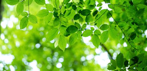 Global Site アルインコ株式会社（alinco）