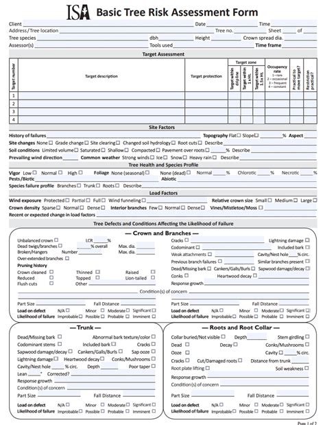 Arborist Risk Assessments Ottawa Tree Services