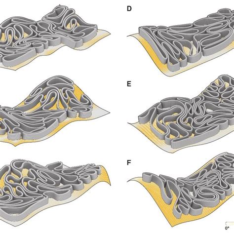 Adaptivity Of The Space Filling Curve To Varying Environmental Field Inputs Download