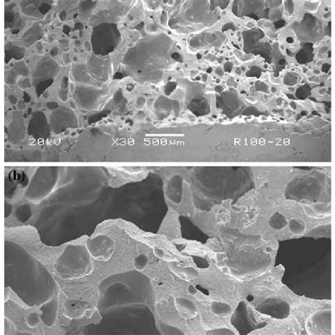 A And B Sem Micrographs At Two Different Magnifications Of The