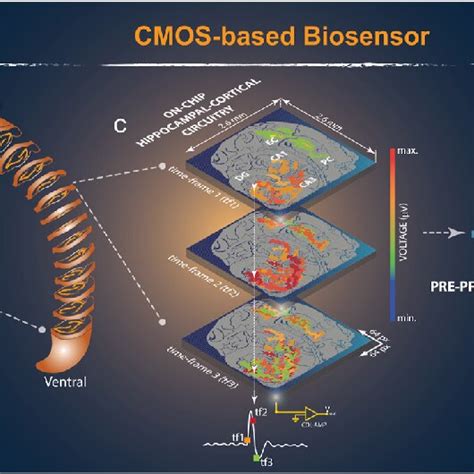 Large Scale Cmos Based Biosensor Framework A Schematic Representation Download Scientific