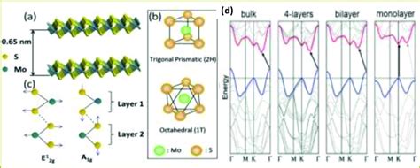 A Crystal Structure Of Bilayer Mos 2 B Two Polytypes Of Single