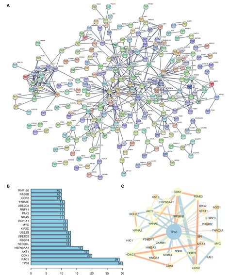 figure 1 from up regulation of hsa circ 0000517 predicts adverse