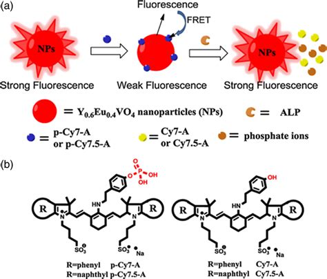 A The Diagram Illustrates A Technique For Alp Detection Based On The
