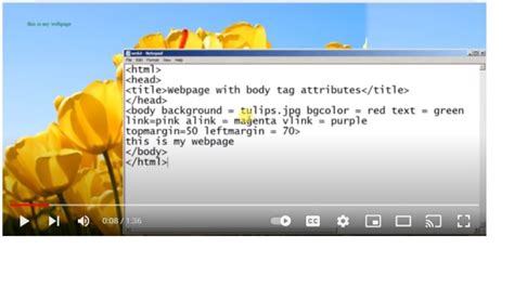 Teach Html Css Python Netbeans Mysql By Gauravpatni1981 Fiverr