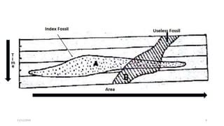 Principle Of Correlation And Fossils PPTX Geology Science