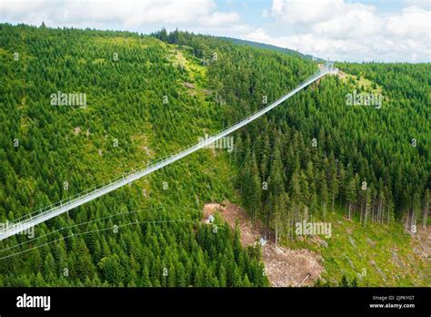 Sky Bridge 721 Is The Longest Suspension Bridge Between Two Hills In The Forest Dolni Morava