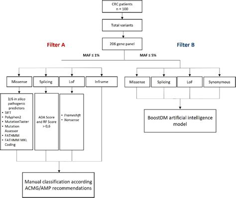 Frontiers Integrating Next Generation Sequencing And Artificial Intelligence For The