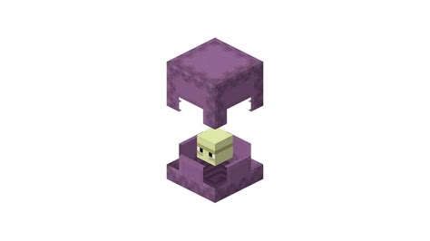 Shulker Trong Minecraft