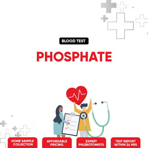 Phosphate Test Find My Doctor