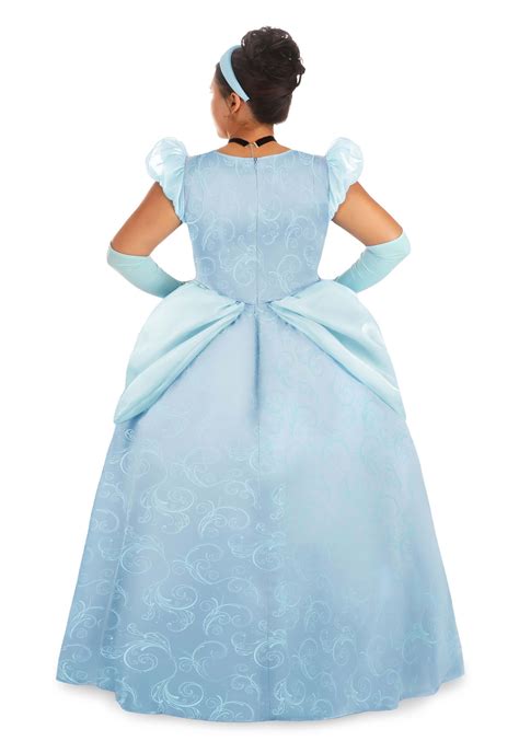 Plus Size Disney Premium Cinderella Costume Dress For Women