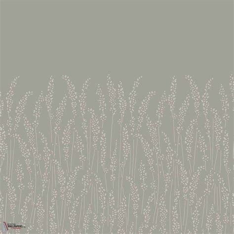Feather Grass Behang Ammonite Sample Farrow And Ball Behang Behang