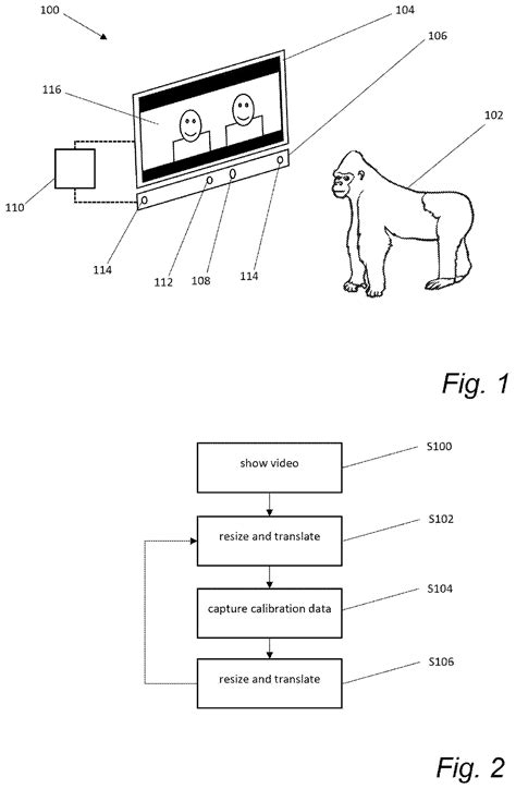 Method And System For Eye Tracker Calibration Eureka Patsnap