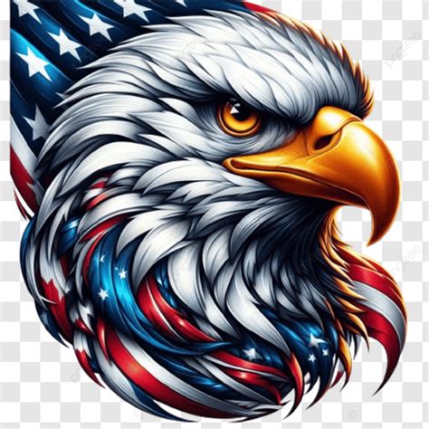 미국 독수리 벡터 디자인 이미지 클립 아트 그림 미국 독수리 벡터 Png 일러스트 및 이미지 에 대한 무료 다운로드 Pngtree
