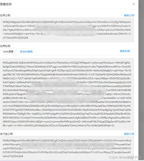 使用c Window 窗体实现支付宝支付功能winform 引入支付宝扫码付款 Csdn博客