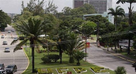 Ufpe Abre Mais De 500 Vagas Para Cursos Gratuitos Ead