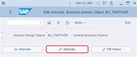 How To Define Number Ranges For Business Partner In SAP Hana
