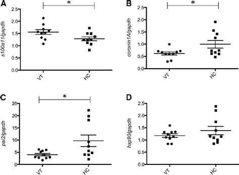 Validation Of Protein Targets Identified By Lc Msms Ex Vivo Monocytes