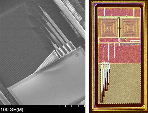 Tiny Electronic Chip Provides Big Boost To Treat Hundreds Of Millions With Brain And Central