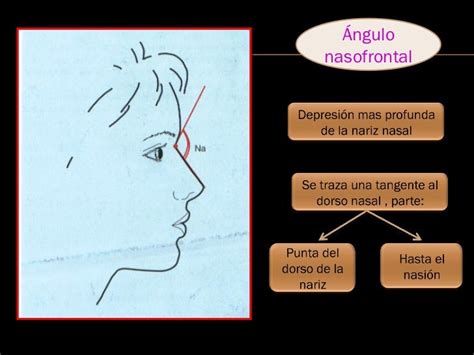Analisis De Powel Arnett Y Bermang