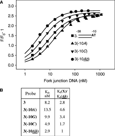 Effect Of Substitutions At The −10 Position On Rnap Binding To