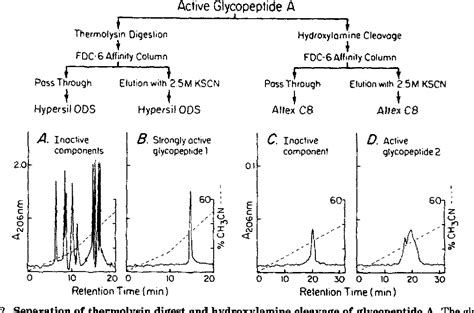 Figure 2 From The Oncofetal Structure Of Human Fibronectin Defined By Monoclonal Antibody Fdc 6