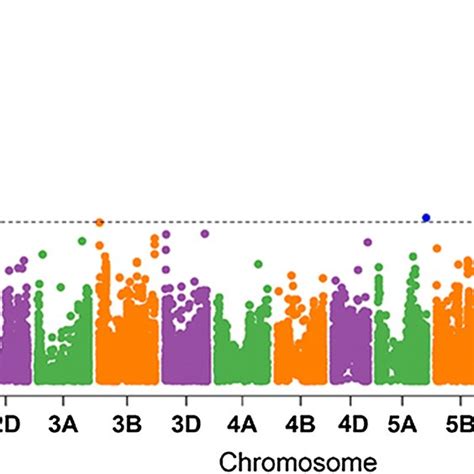 Box Plots Showing The Phenotypic Values Of The Four Haplotypes Of The
