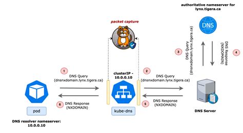 DNS Observability And Troubleshooting For Kubernetes And Containers With Calico