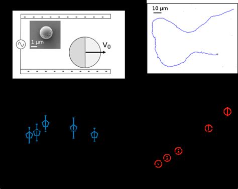 Unconfined Active Colloids A Schematic Illustration Of Download