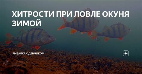 ХИТРОСТИ ПРИ ЛОВЛЕ ОКУНЯ ЗИМОЙ Рыбалка с Денчиком Дзен